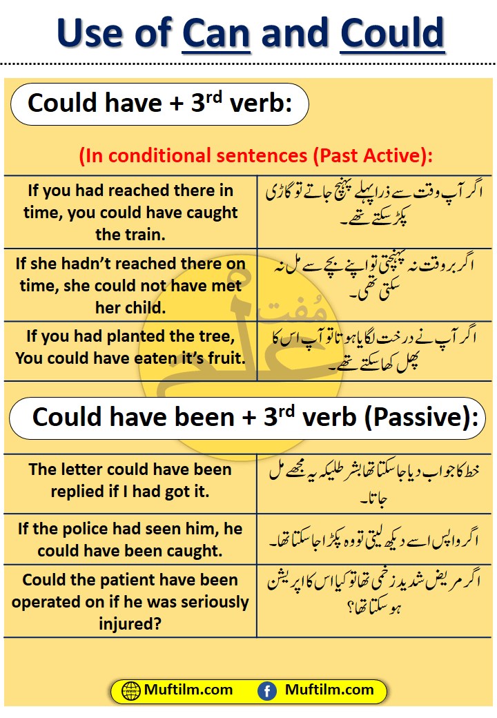 Can Vs Could In English Grammar With Use and Examples - muftilm