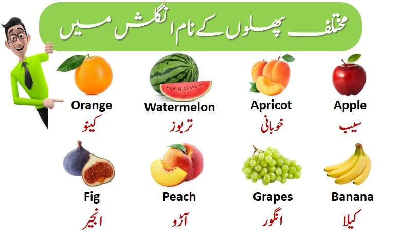 Fruits Name in English with Urdu Meanings